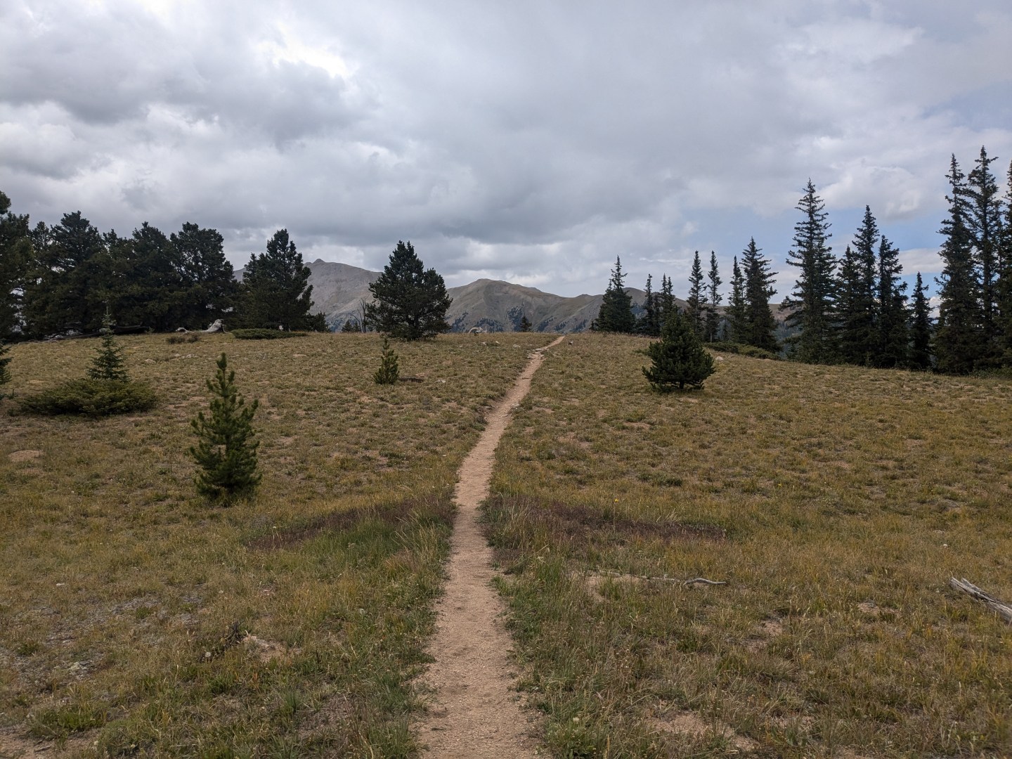 Ranking the Colorado Trail’s 33 Segments from Worst to Best ...